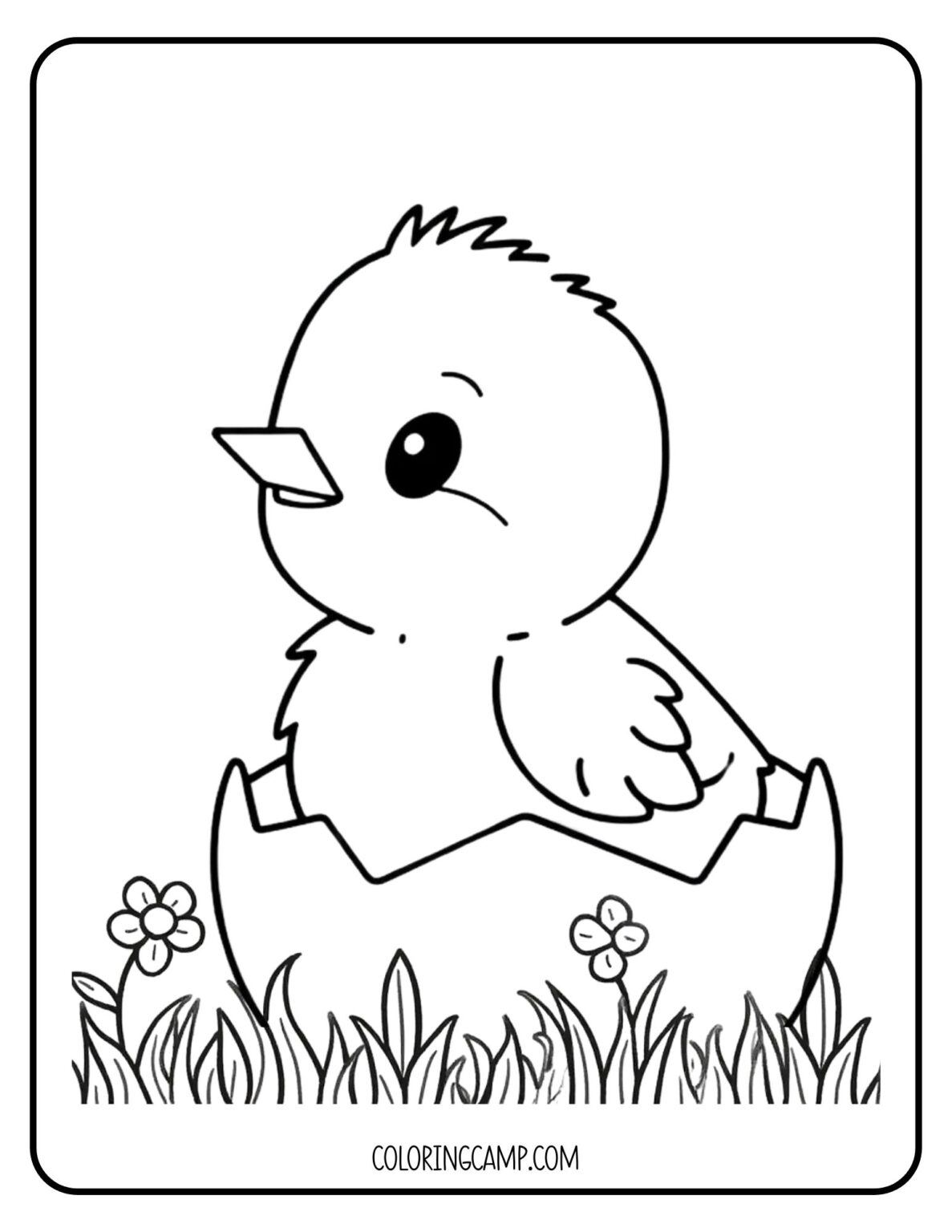 Easter Chick Coloring Pages | www.coloringcamp.com