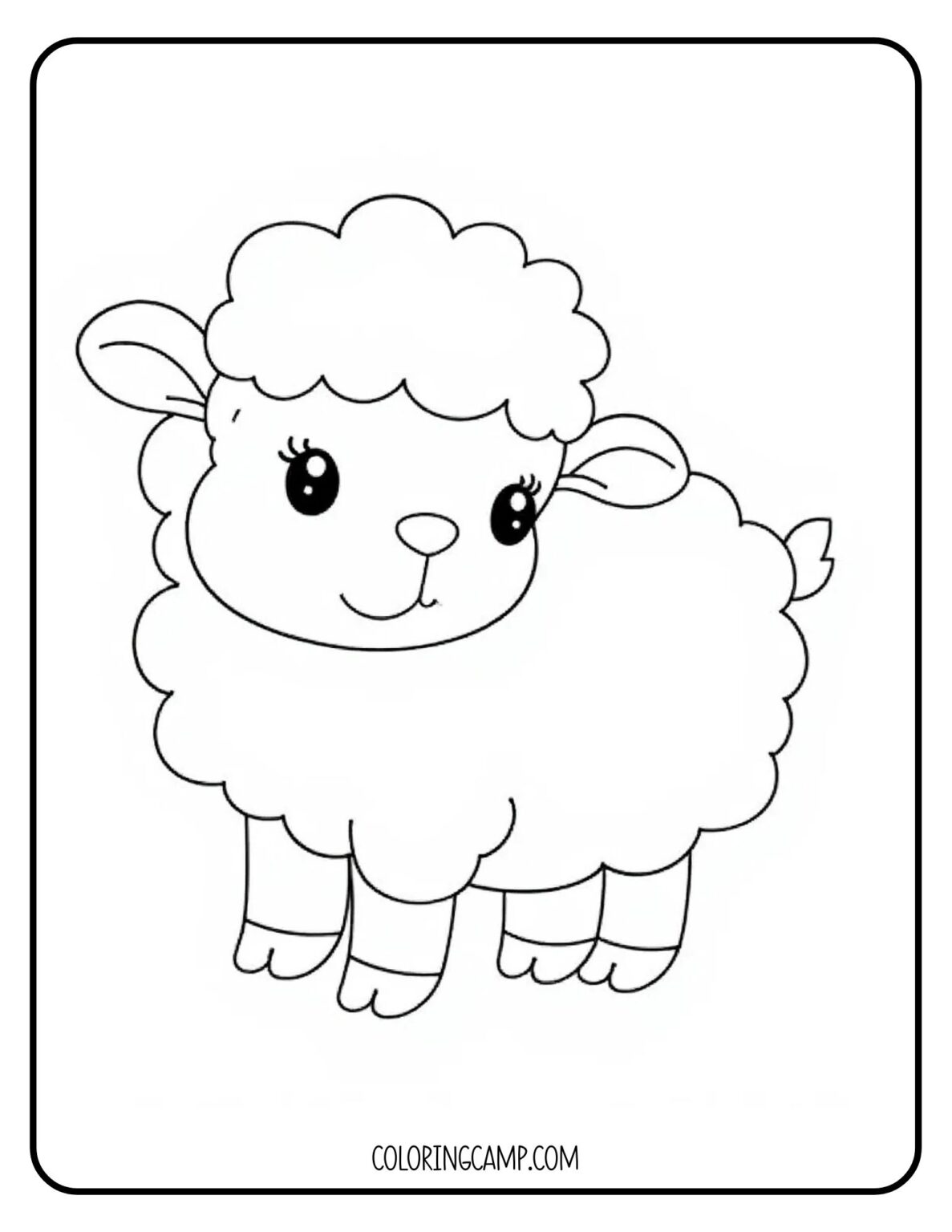 Cute Sheep Coloring Pages | www.coloringcamp.com