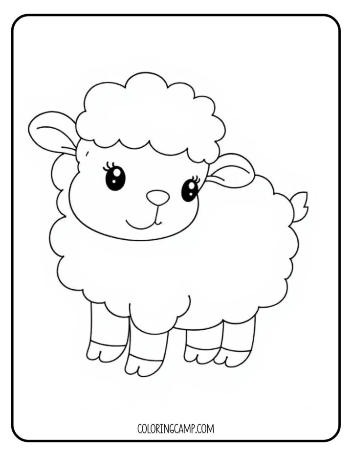 Cute Sheep Coloring Pages | www.coloringcamp.com