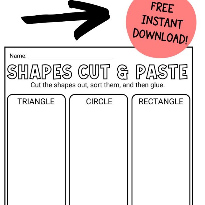 Cut and Paste Shapes Worksheet | www.coloringcamp.com
